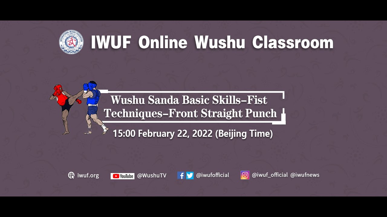 Wushu Sanda Basic Skills-Fist Techniques-Front Straight Punch - YouTube