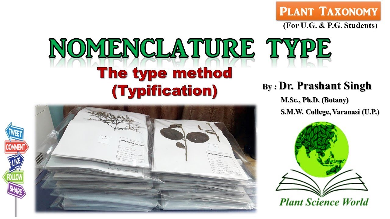 NOMENCLATURE TYPE (The type method or Typification) - YouTube