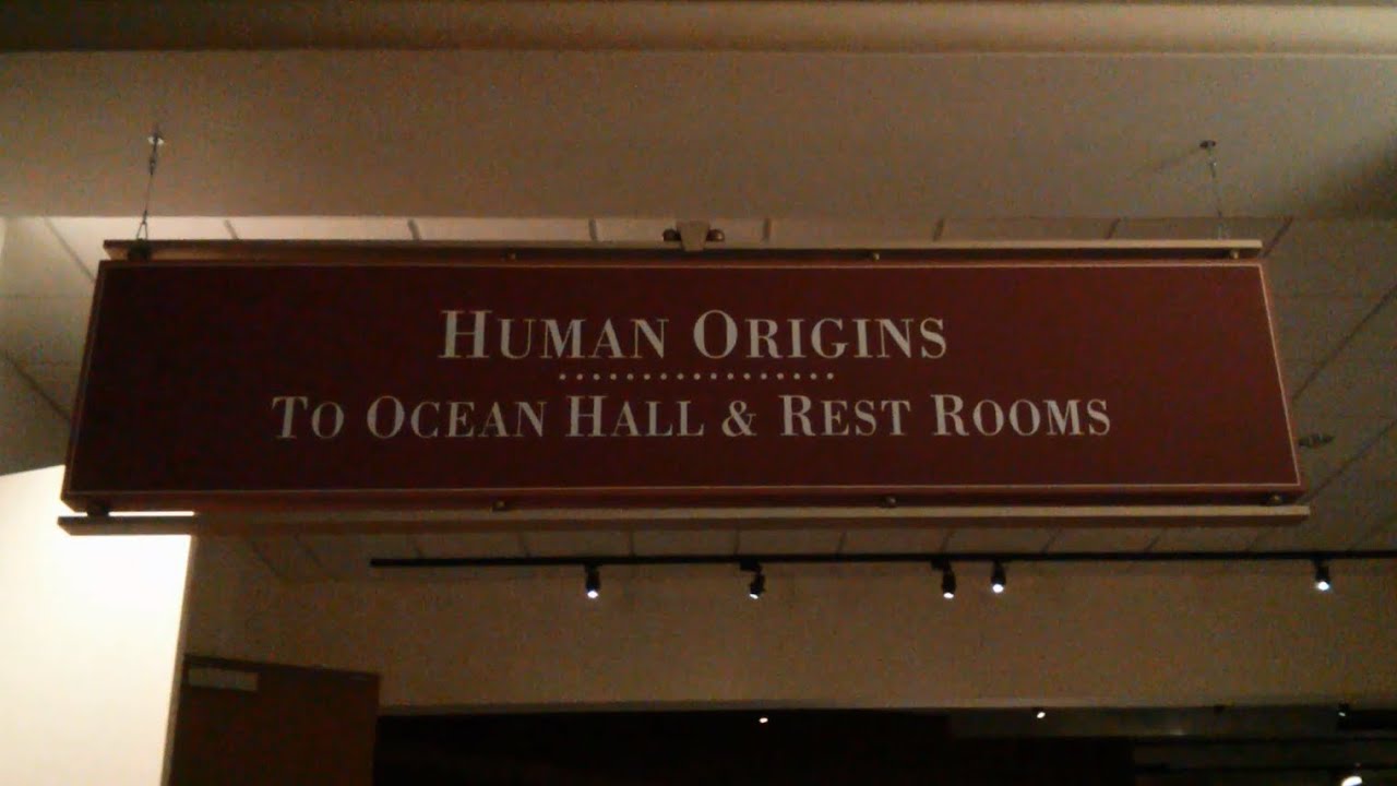 Human Origins exhibit at the Smithsonian Museum of Natural History ...