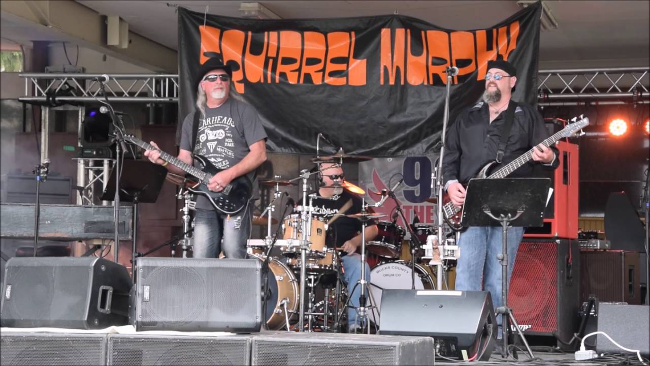 Squirrel Murphy - Blink 182 - Small Things (cover) - YouTube