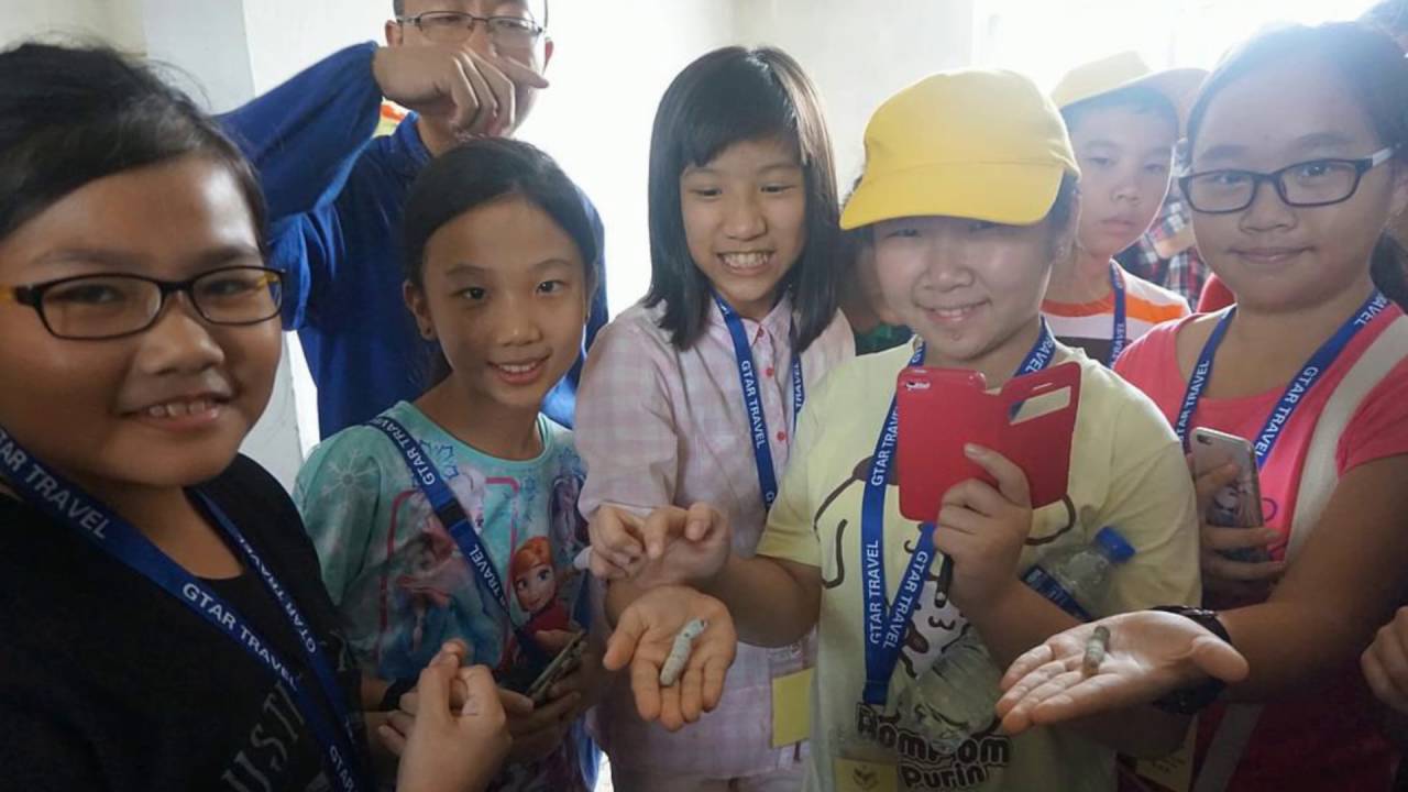 Overseas Twinning Program 2016 - YouTube