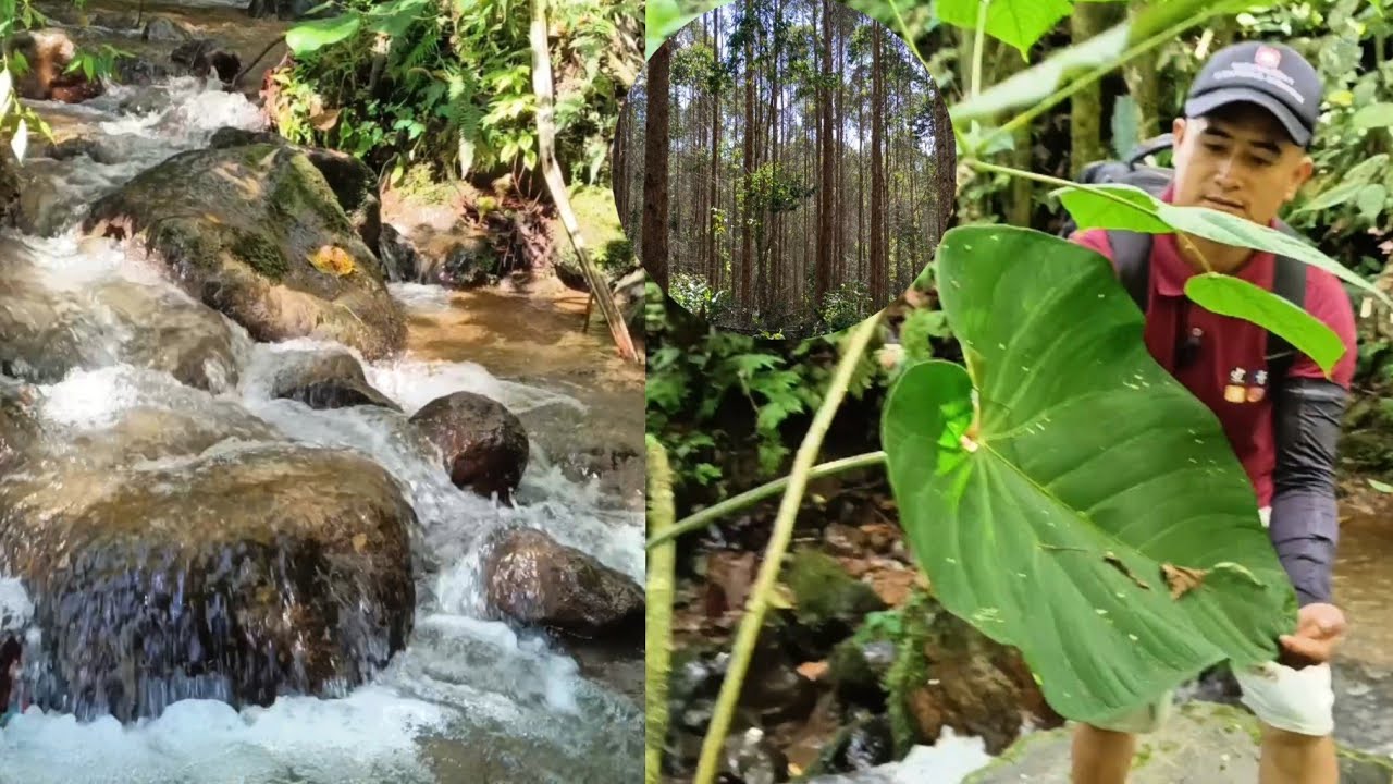 Un recorrido por la Naturaleza /Acompañame . - YouTube