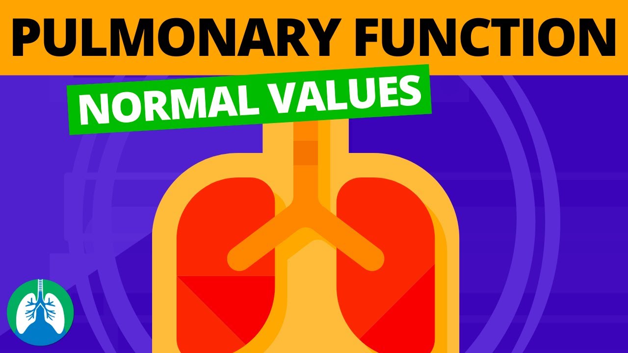 Pulmonary Function Testing (PFT) Normal Values | Respiratory Therapy ...
