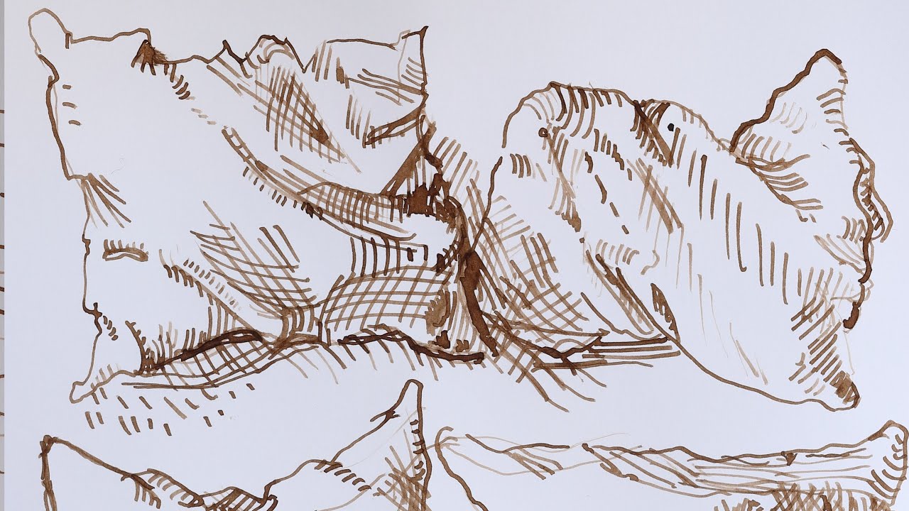 Ninth step to drawing How to draw Durer pillows - YouTube