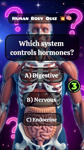 Human Body Quiz 💥🔥🧠#shortvideo #gkquiz #shortsfeed #viral #quiztime ...
