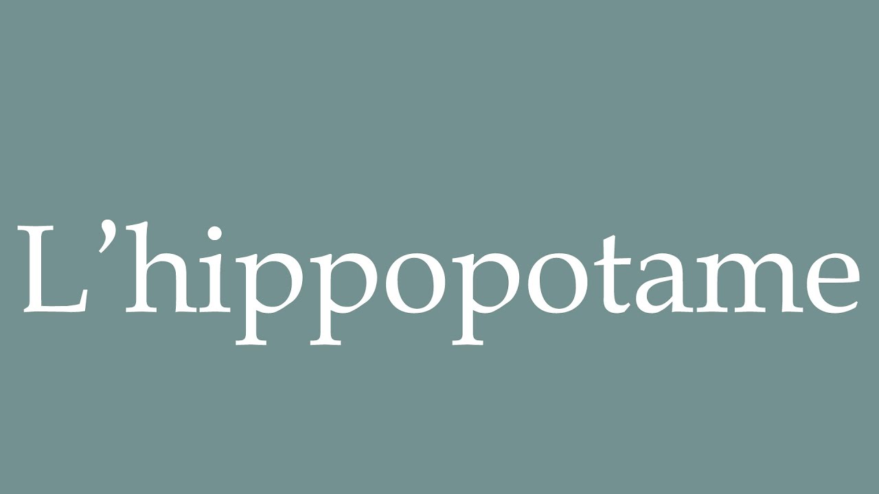 How to Pronounce ''L'hippopotame'' (Hippopotamus) Correctly in French ...