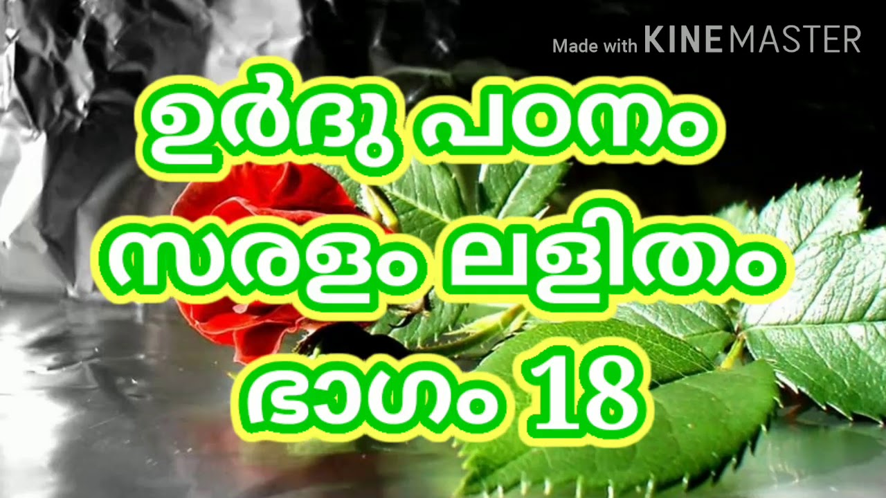 Best language program to learn urdu - simbetta