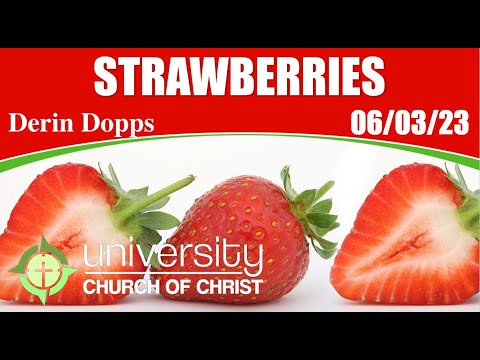 Strawberries 06-04-23 Derin Dopps - YouTube
