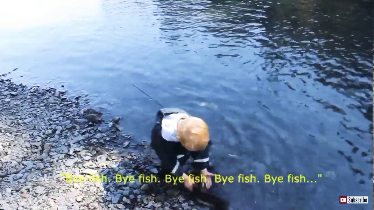 Bye fish - YouTube