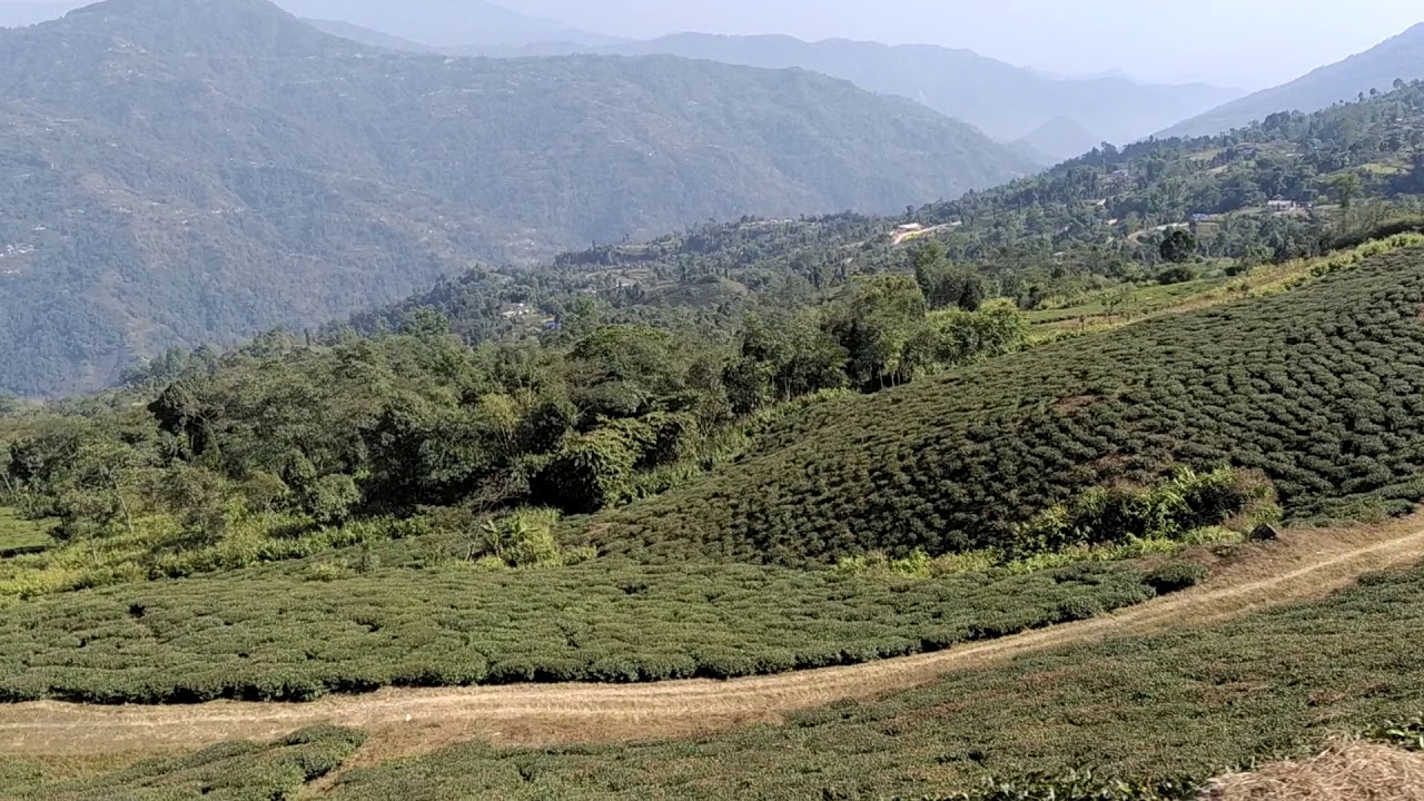 ilam view Fresh air and Natural beauty || Visit Nepal 2020 - YouTube