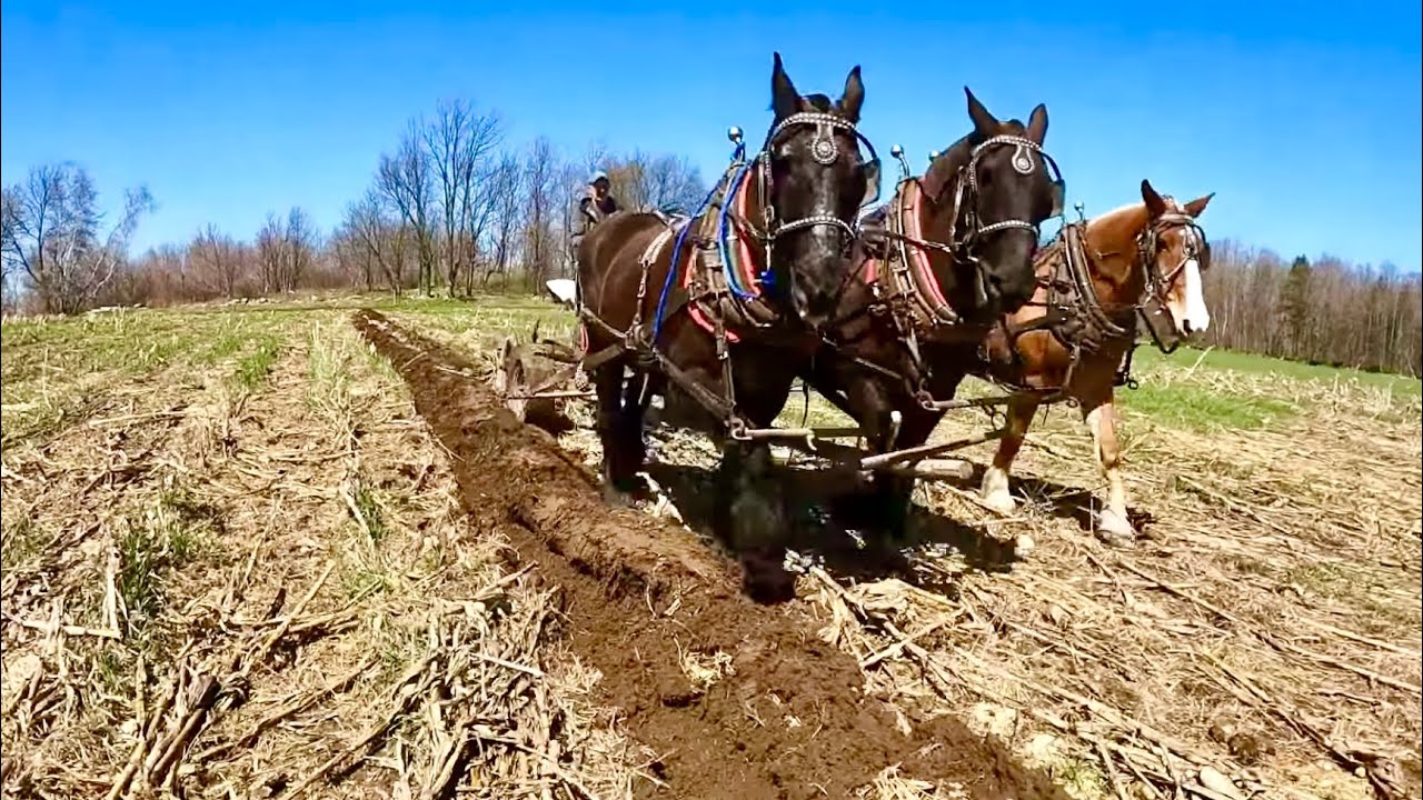 I COULDN'T WAIT ANY LONGER! // First Plow of the Season - YouTube
