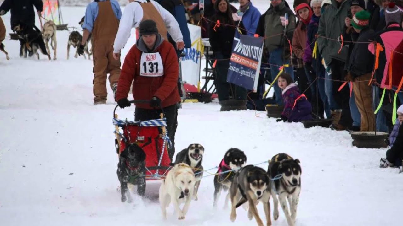 2013 American Dog Derby - YouTube