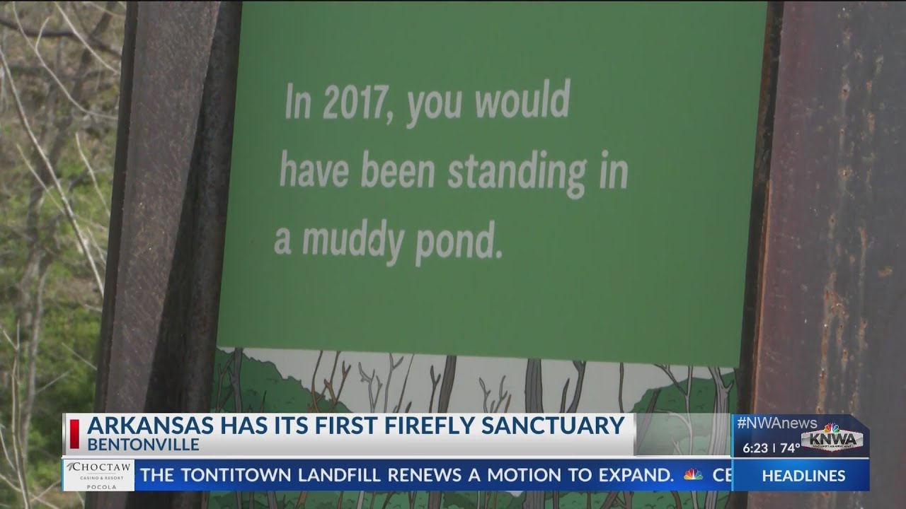 Bentonville home to Arkansas' first firefly sanctuary - YouTube