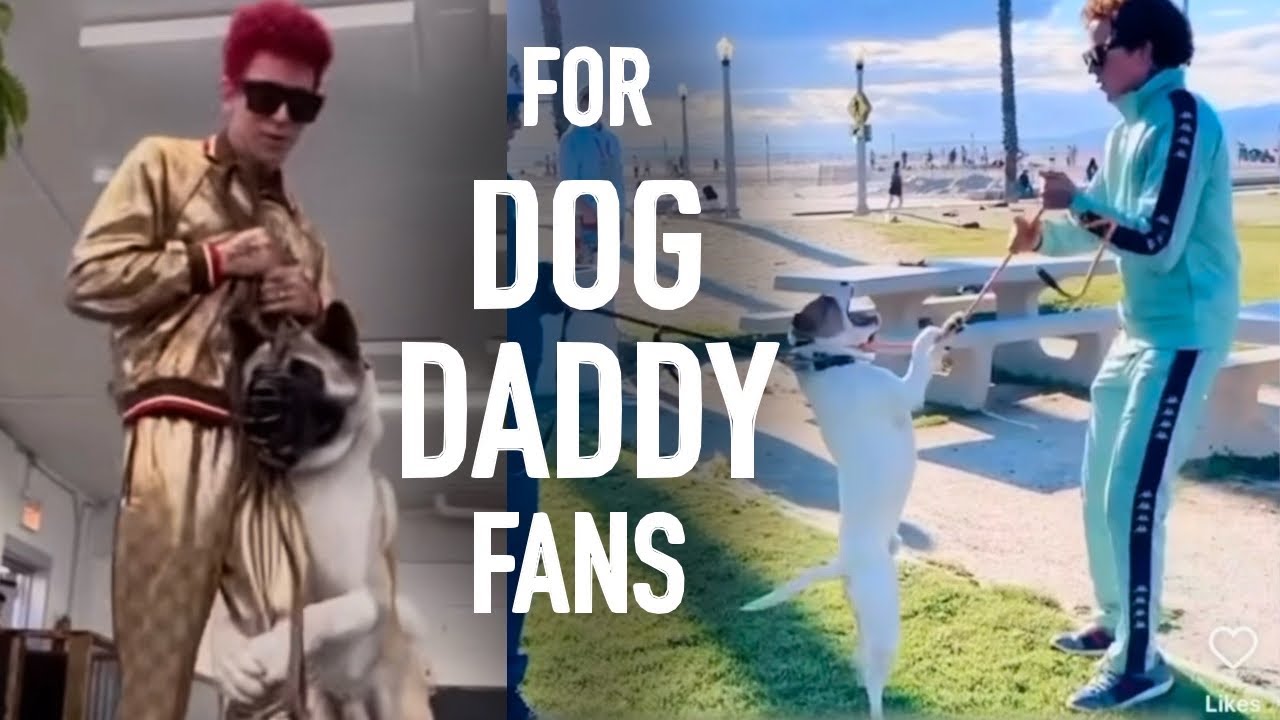 For Fans of Dog Daddy Only: This is What We are Doing to “Dog Daddy ...