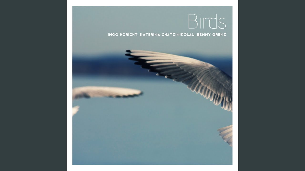 Birds - YouTube