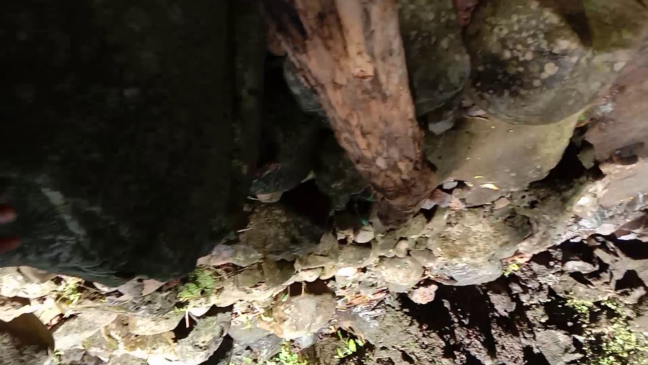 Amazing Cobra Falls traveling in Montol Ozamiz city - YouTube