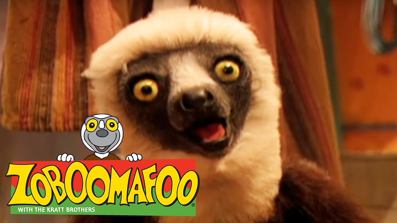 🐒 Zoboomafoo 🐒 108 | Snowday - Full Episode | Kids TV Shows - YouTube