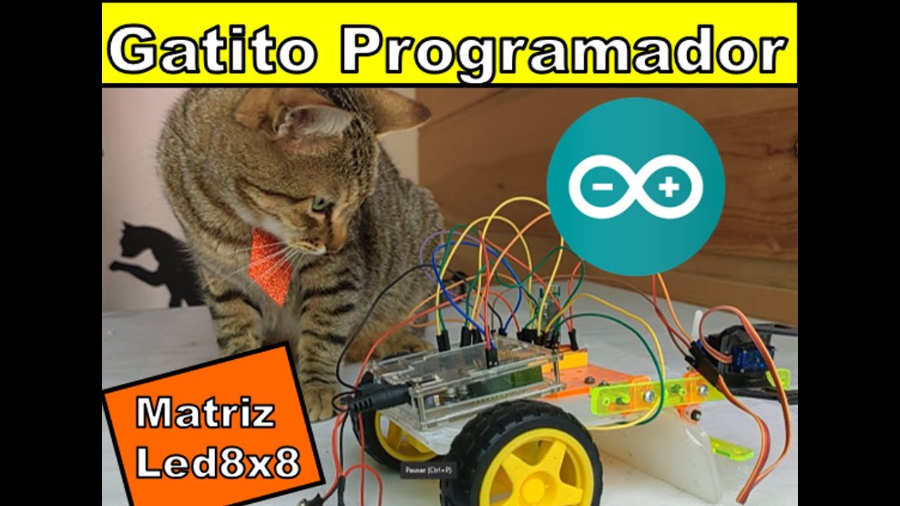 Gatito Programador - YouTube