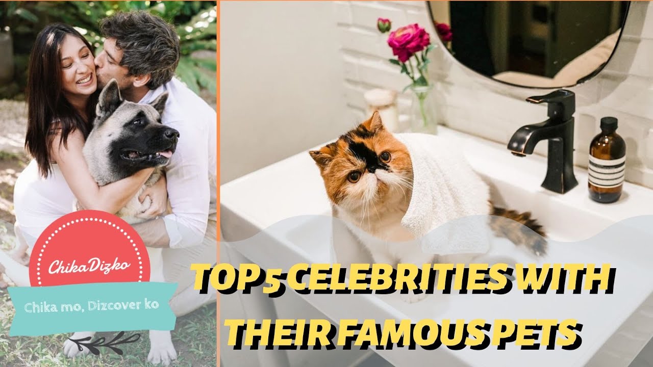 TOP 5 CELEBRITIES WITH THEIR FAMOUS PETS - YouTube