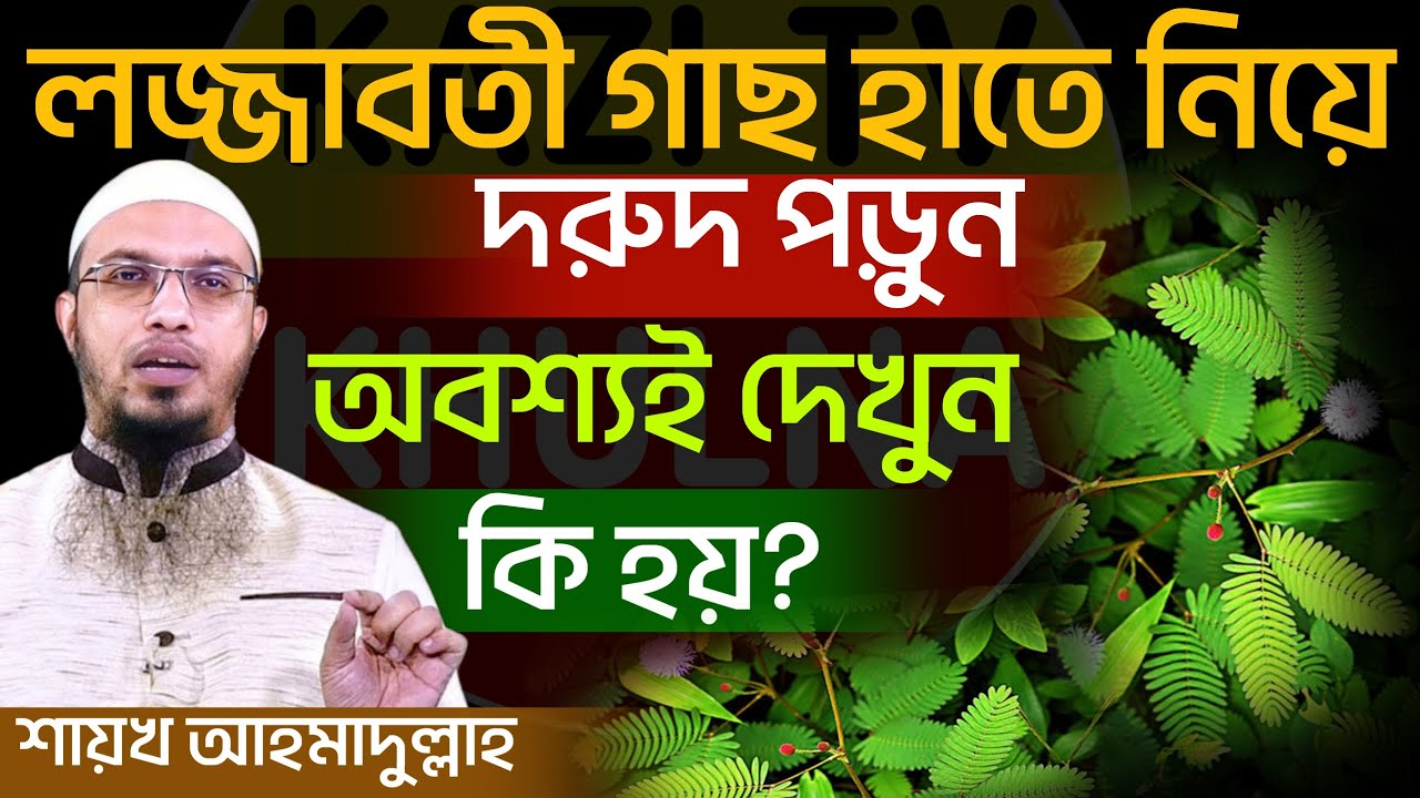 🔴 লজ্জাবতী গাছ হাতে নিয়ে দরুদ পড়লে কি হয়? জানলে অবাক হবেন। শায়খ ...