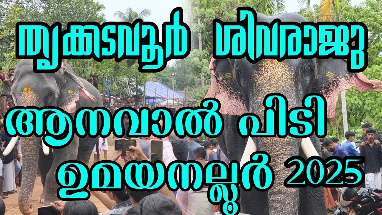 Umayanalloor Temple Anaval Pidi #sivaraju #aanavalpidi - YouTube