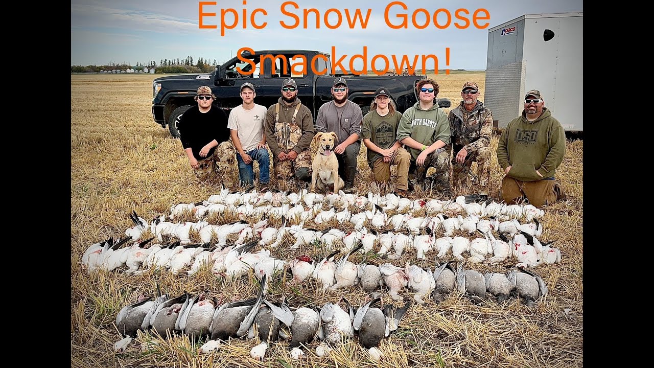 Snow Storm on the Prairie: An Epic Snow Goose Hunt - YouTube