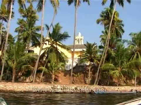 The best beaches of Kerala and Goa!