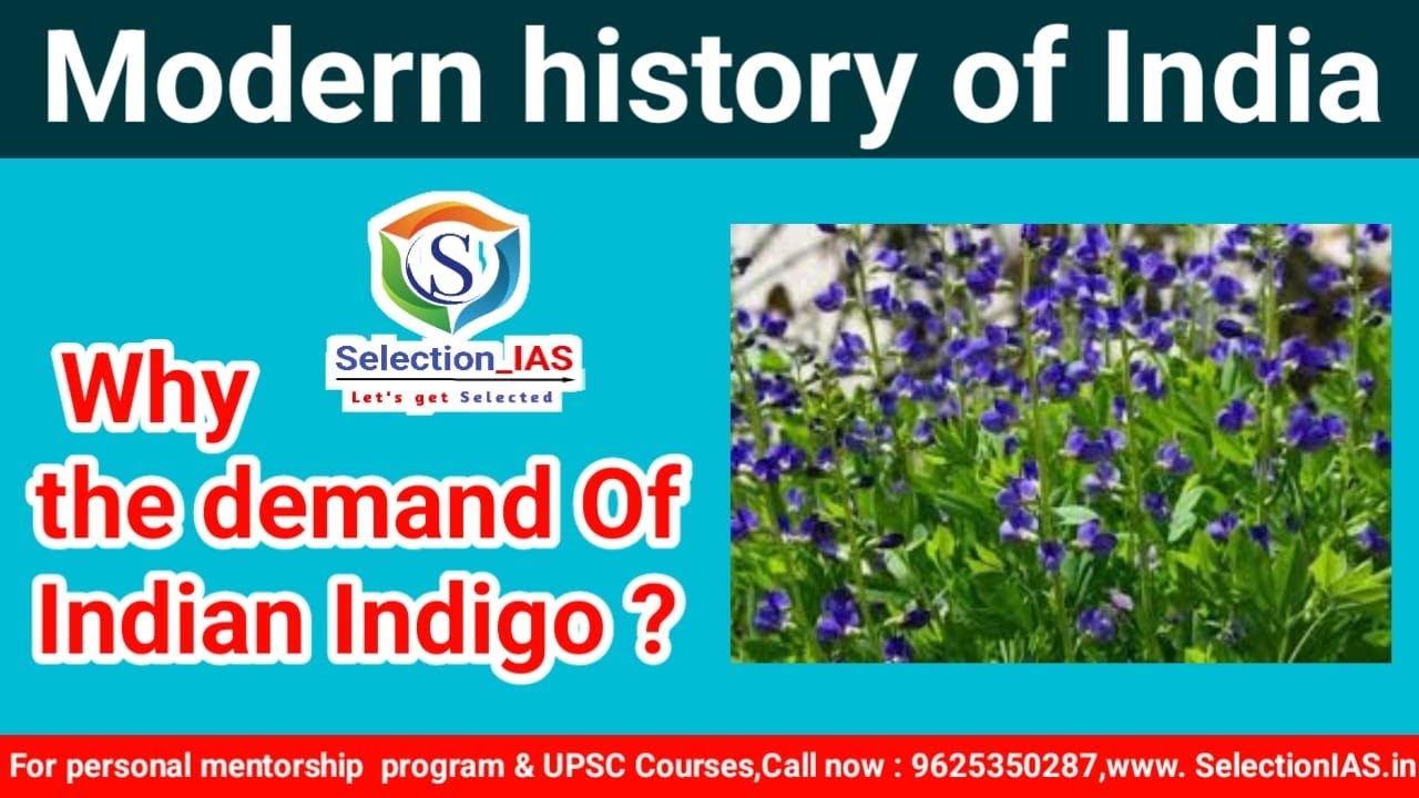 Why the demand of Indian Indigo? | Modern history of india | Animated ...
