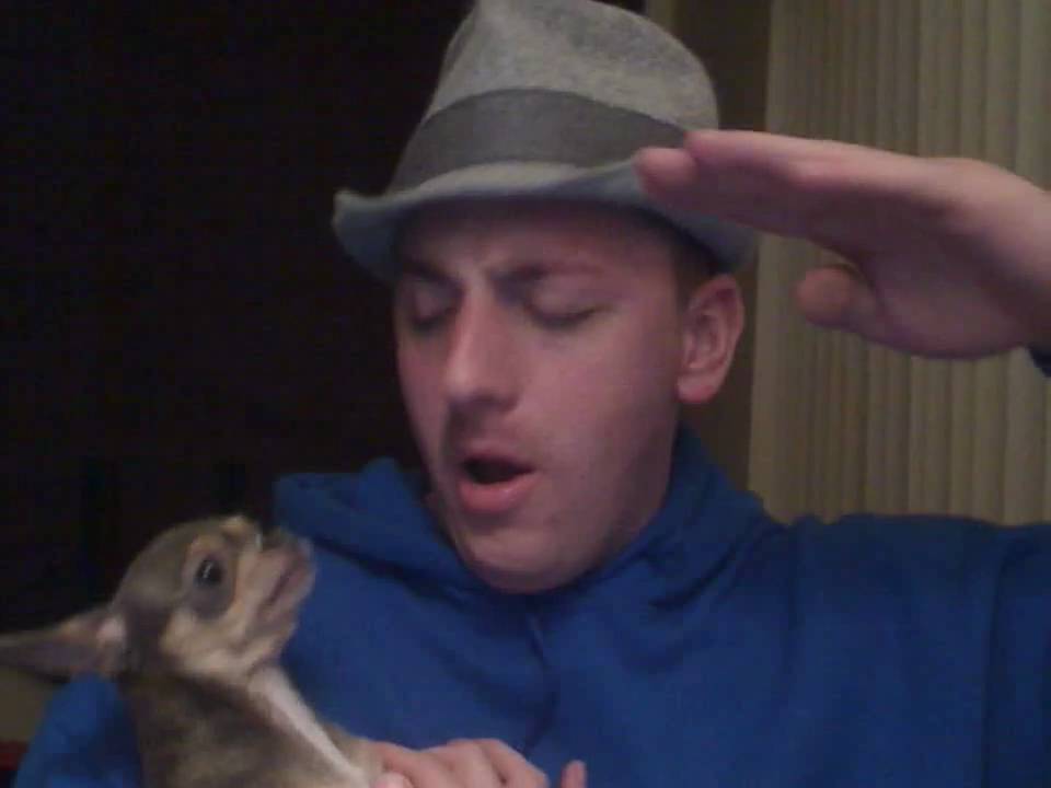 Hilarious singing dog - YouTube