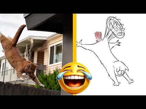 😂 Funny cat meme drawing compilation | balls off !