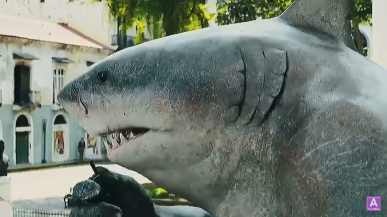 King shark says bird - YouTube
