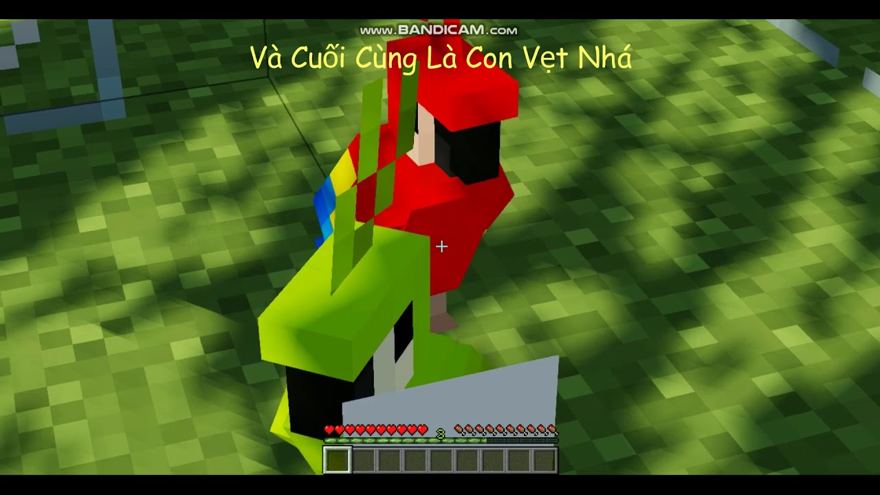 MINECRAFT | CÁCH THUẦN PHỤC CÁC LOẠI ĐỘNG VẬT TRONG MINECRAFT - YouTube