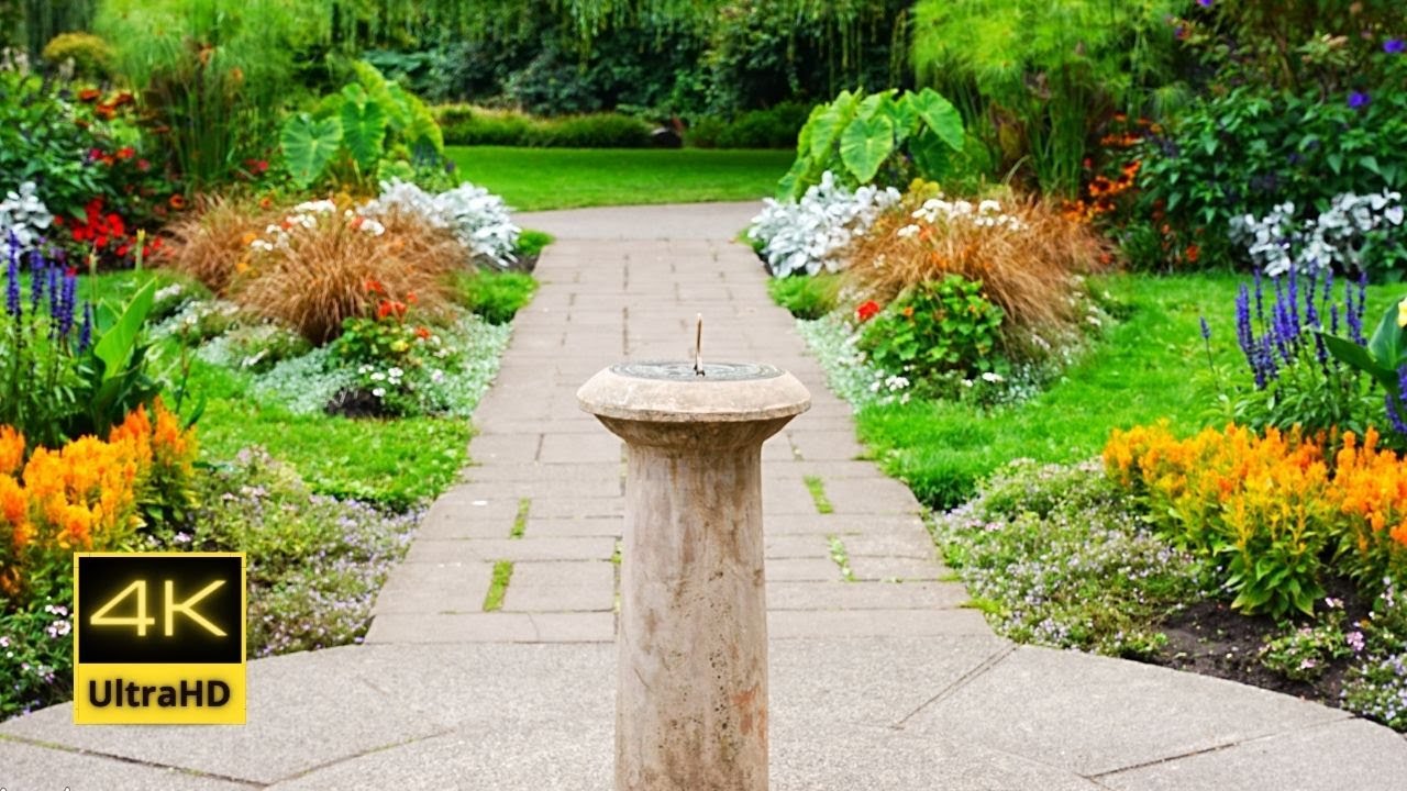 Park Relaxation with the Sound of Birds Chirping (4k, park ambience ...
