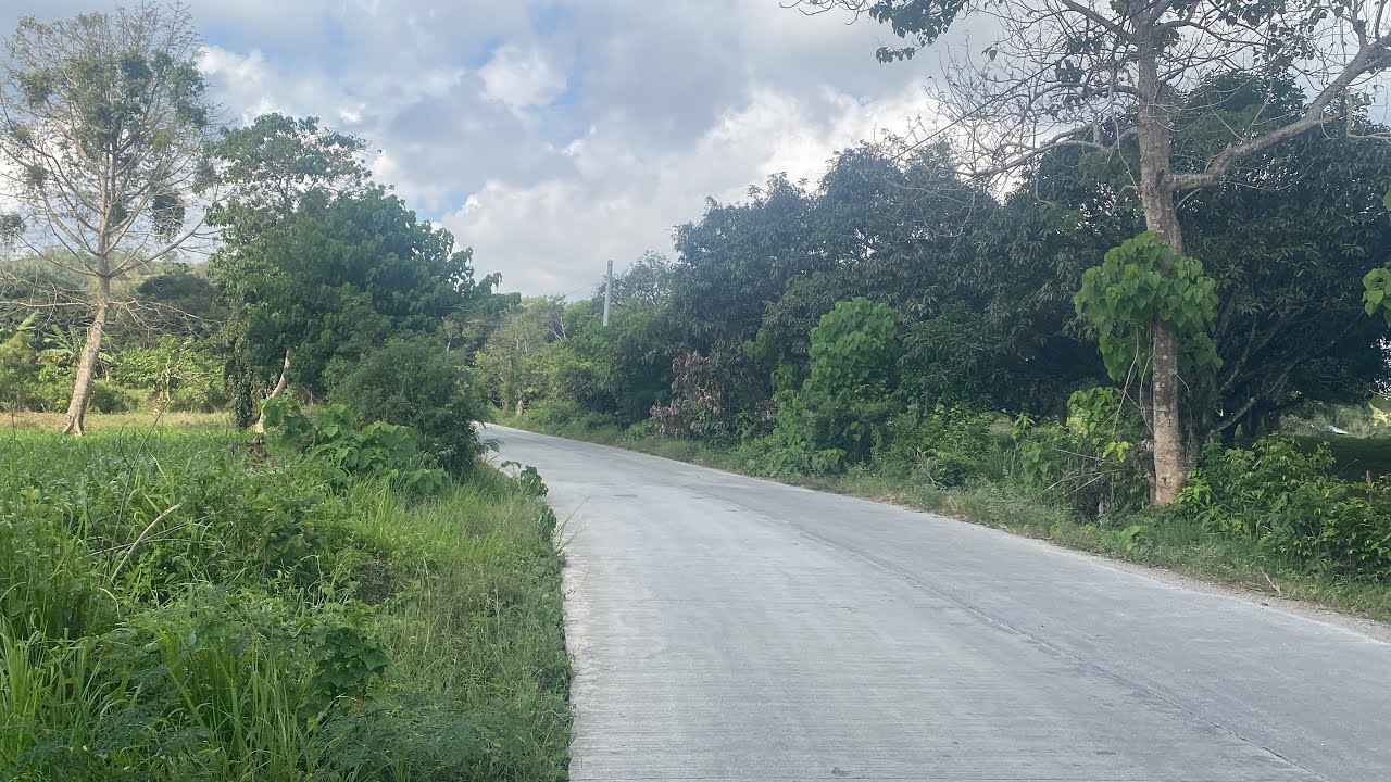 Land for Sale total of 22 hectares with 1kilometer frontage more or ...