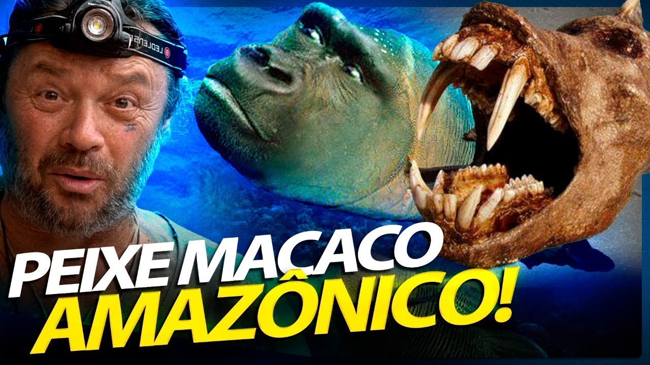 EXISTE UM PEIXE MACACO NA AMAZÔNIA? | RICHARD RASMUSSEN - YouTube