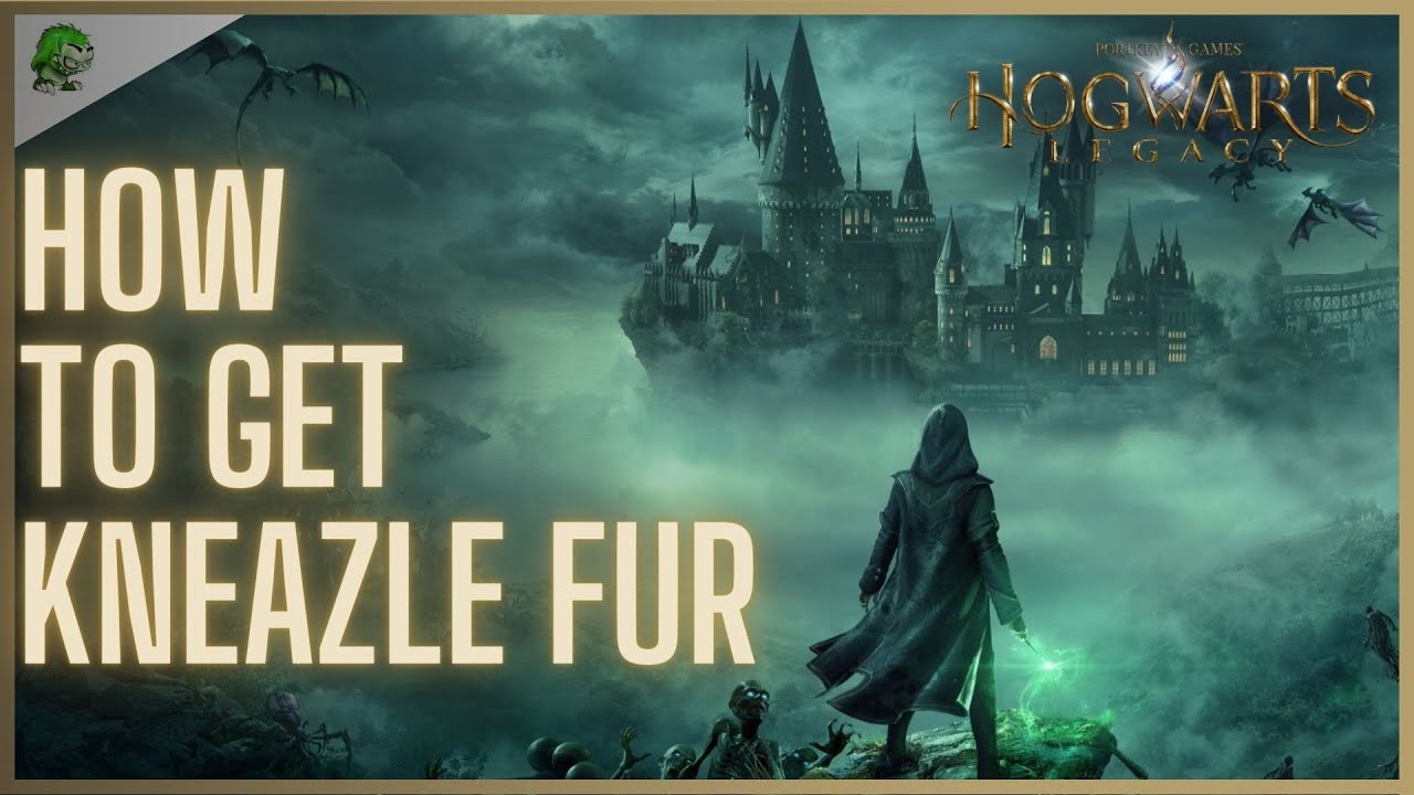 Hogwarts Legacy How to get Kneazle Fur - YouTube