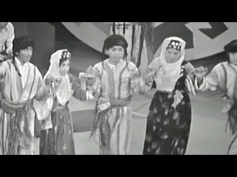 Muş Halk Eğitim Merkezi Halk Oyunları Ekibi'nin Gösterisi