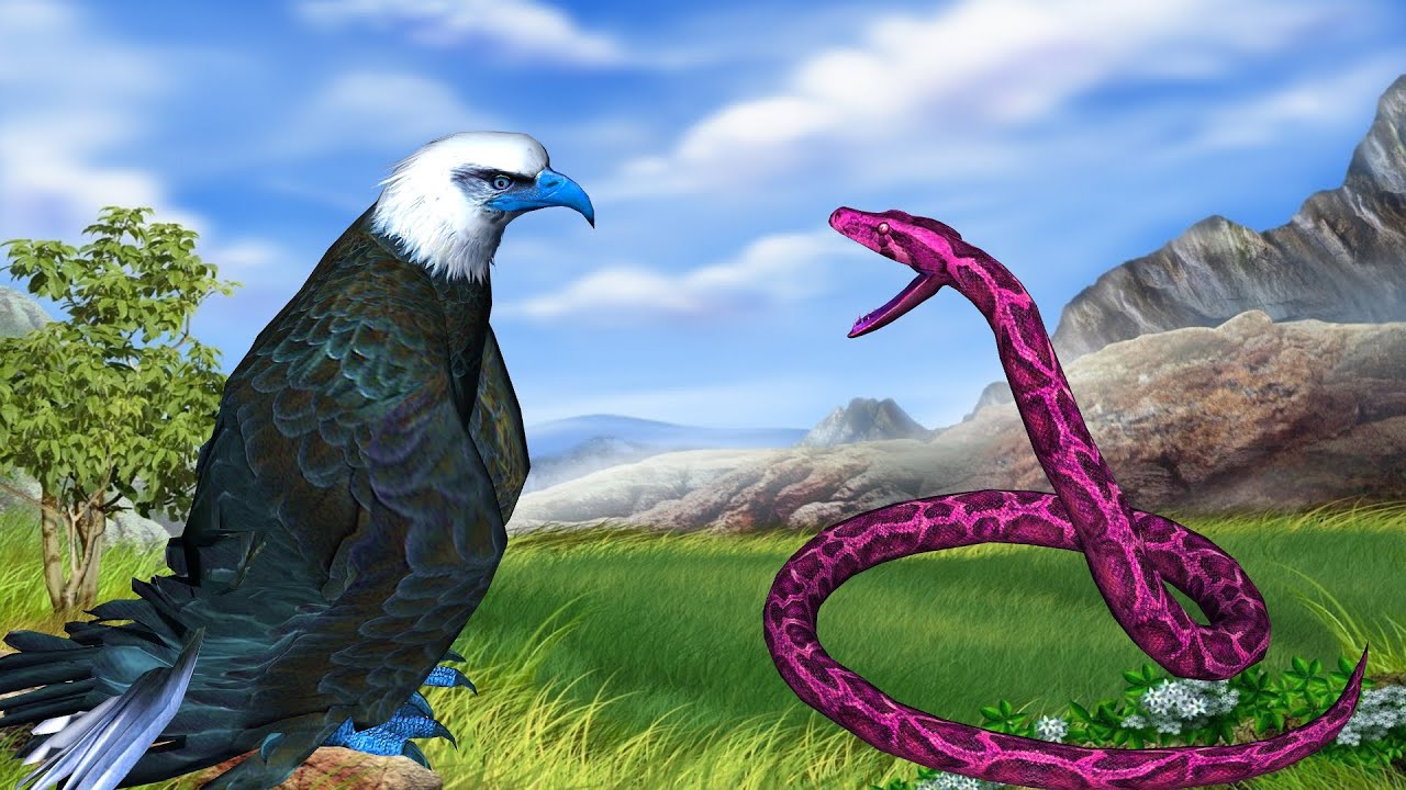 Finger Family Eagle & Phython Nursery Rhymes | Children Cartoon Rhymes ...