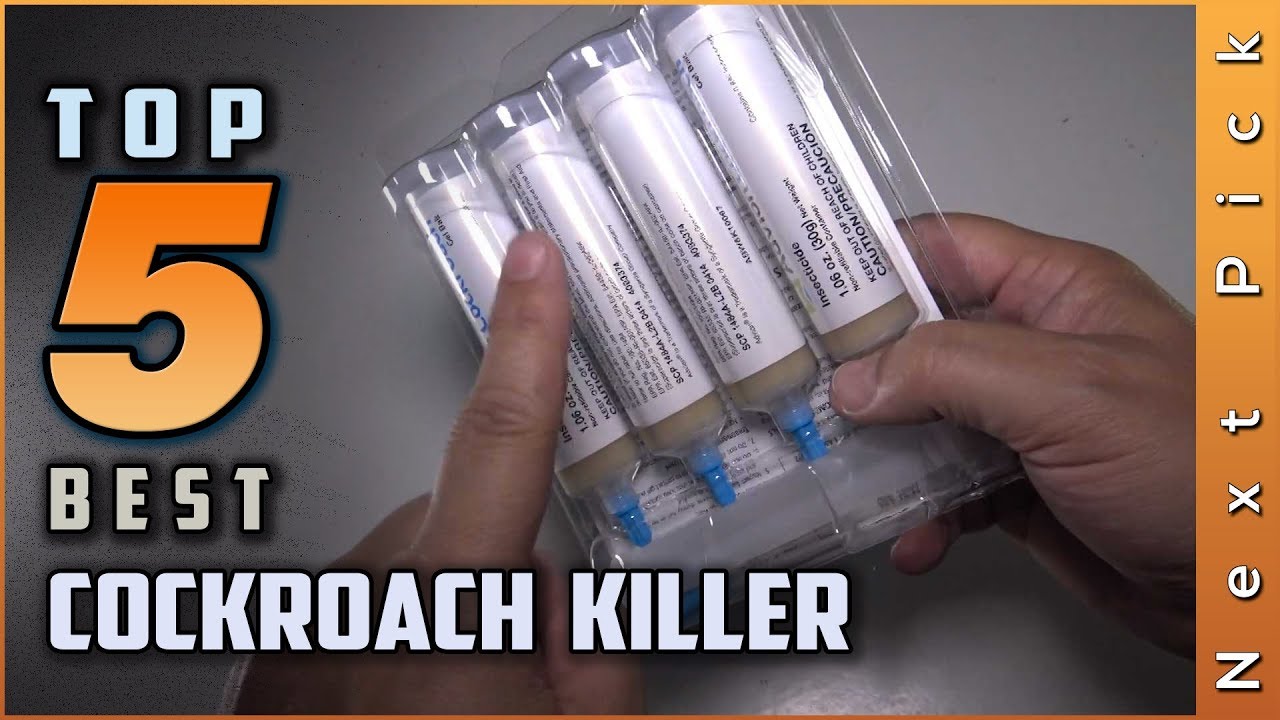 Top 5 Best Cockroach Killers Review in 2024 - YouTube