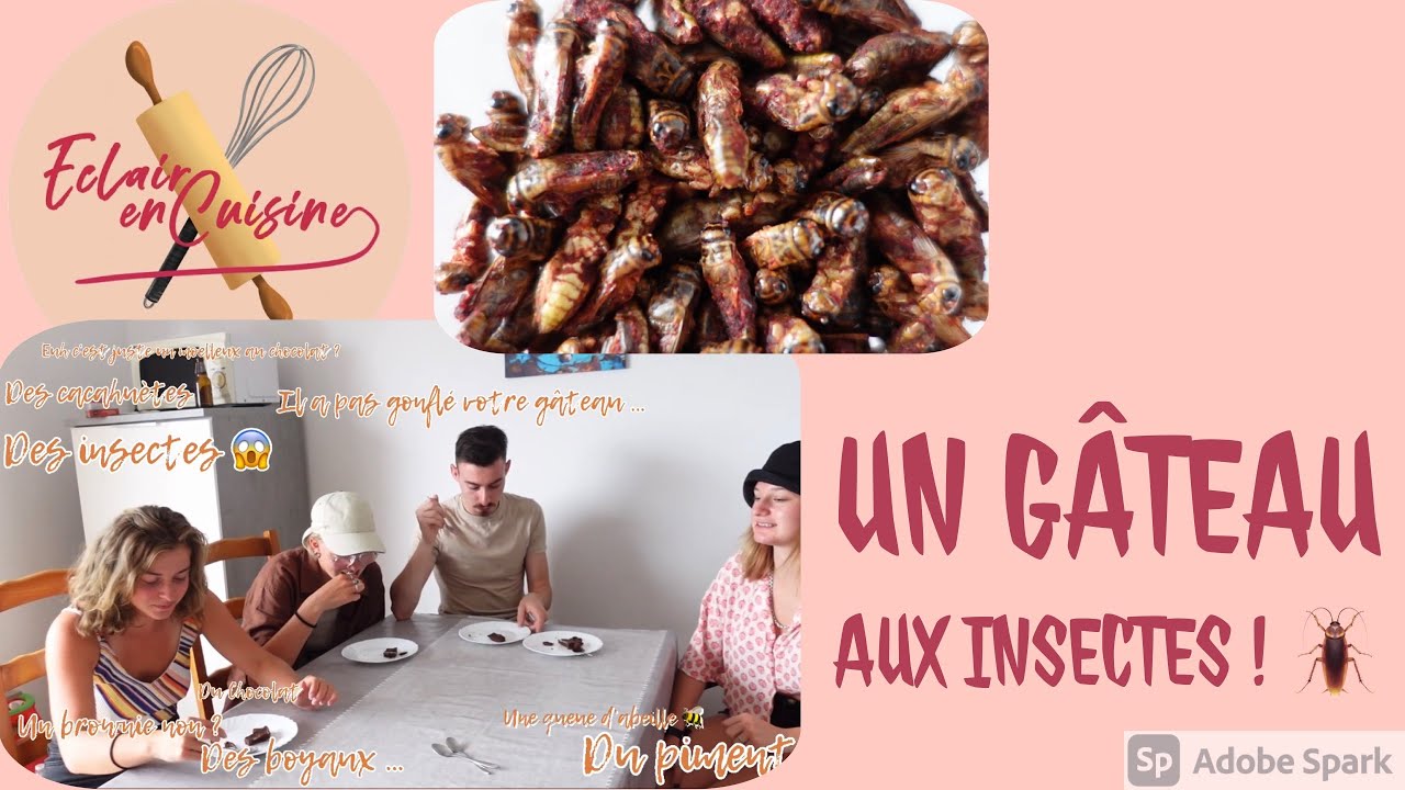 Un Gâteau aux insectes 🐜 😱 - PRANK - team éclair - Éclair en Cuisine 🧑 ...