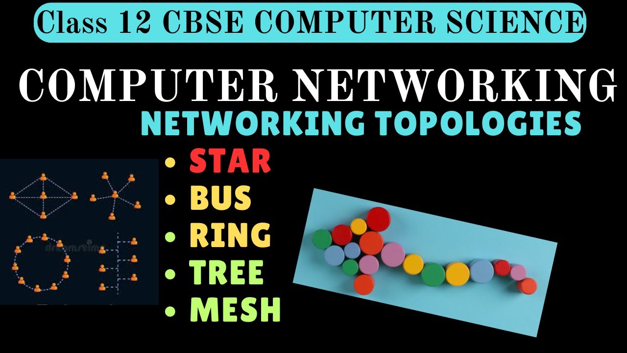 Network Topology(Bus Topology, Star Topology, Ring Topology, Tree Topology)|Class12 Comp Sci ...