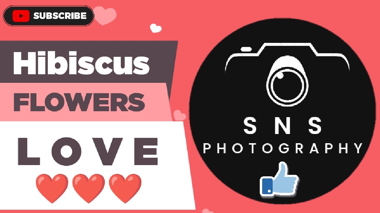 👉Flower photography BY|| SNS Photography - YouTube