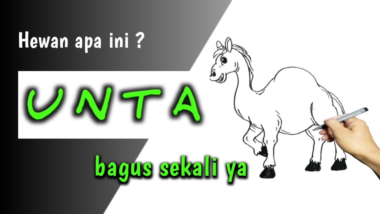 How to draw a Camel for begginer || cara mudah menggambar unta bagi ...