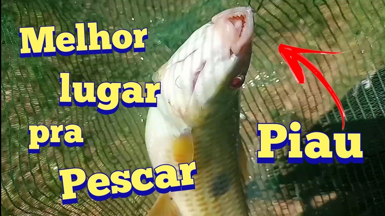 Pescaria de Piau / Piaba no Beethoven em Paraibuna. Pescaria com ...