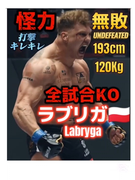 【通算6-0無敗6KO】怪力ラブリガ🇵🇱 Labryga 193cm 120Kg - YouTube