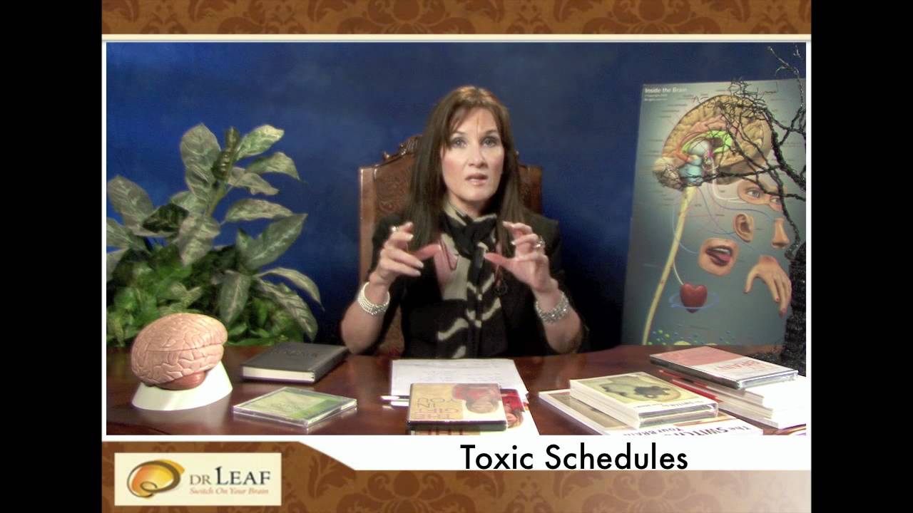 Dr. Leaf | Toxic Schedules - YouTube
