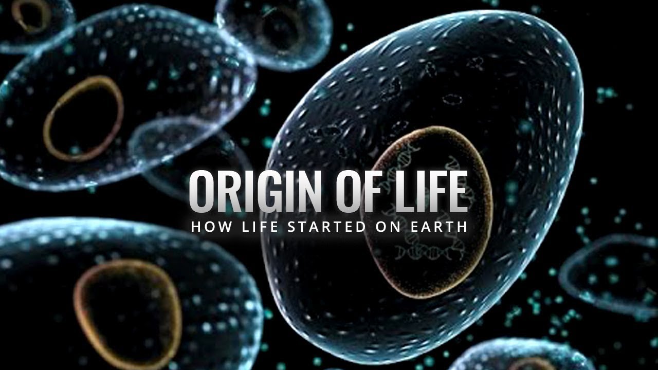 How Life began on Earth? - YouTube
