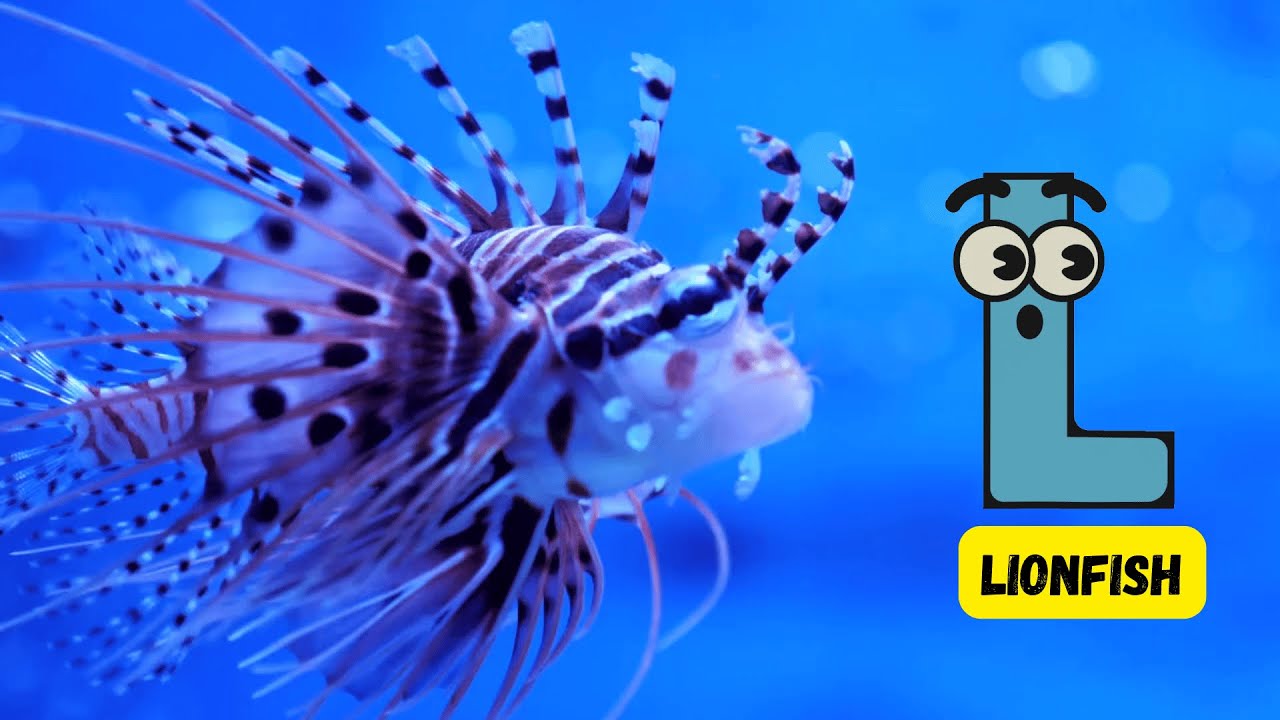 L is for Lovely Animals 🦁🐢 | Fun Alphabet Song for Kids | Learn with L ...