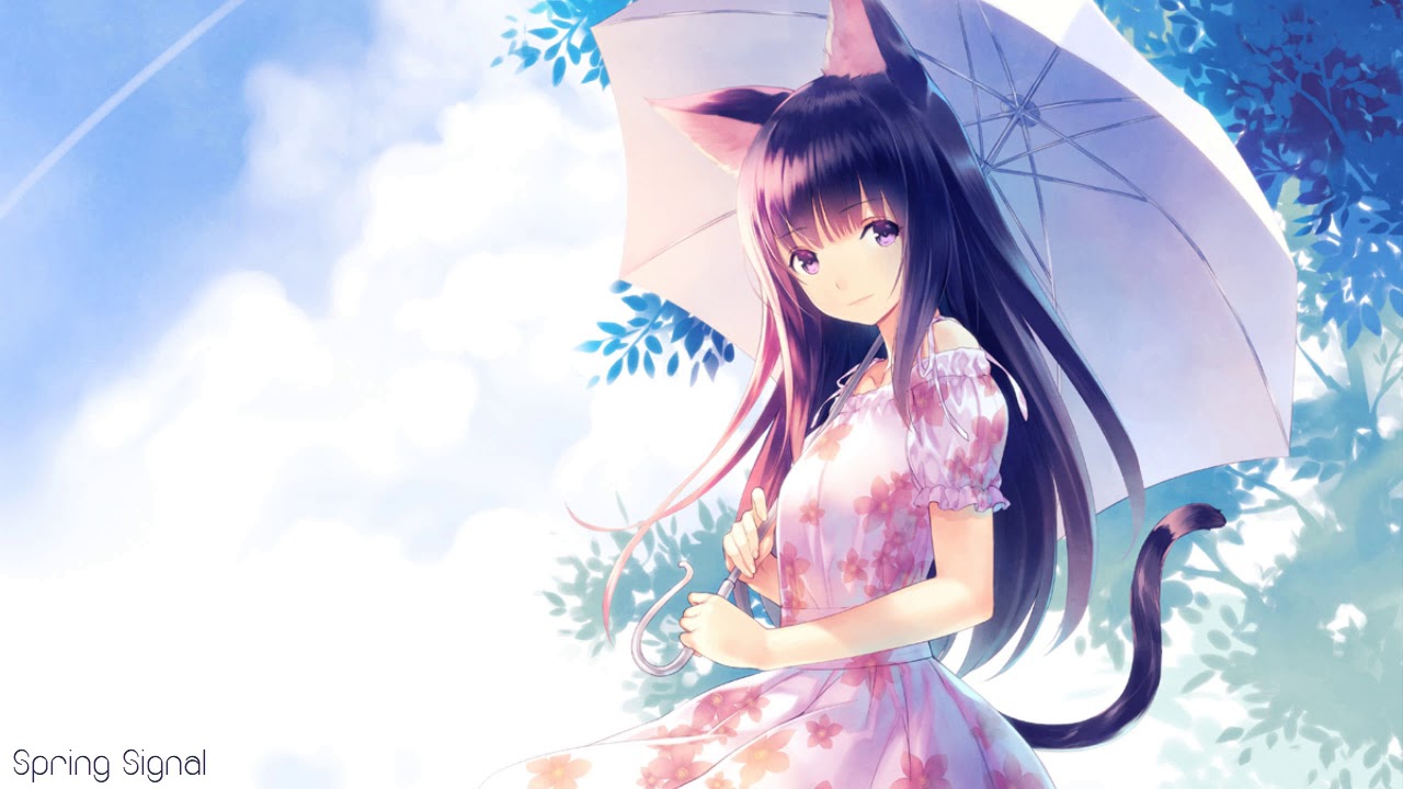 yuki - Spring Signal - YouTube