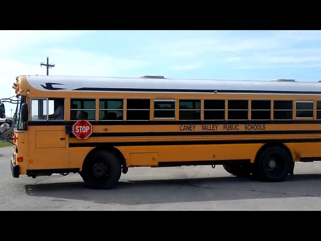 2005 Bluebird School Bus